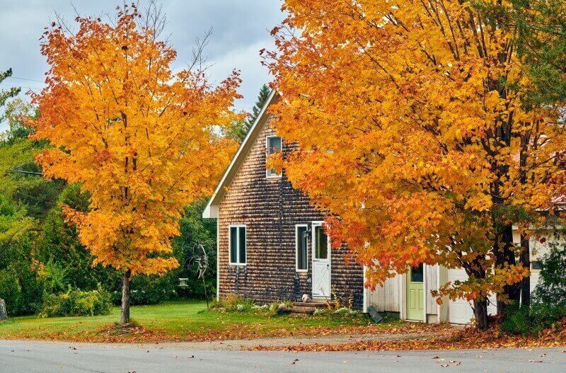 6 Steps to Take to Transition Your HVAC System for Fall Weather